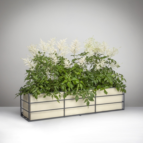 Contemporary Window Box - Garden Requisites