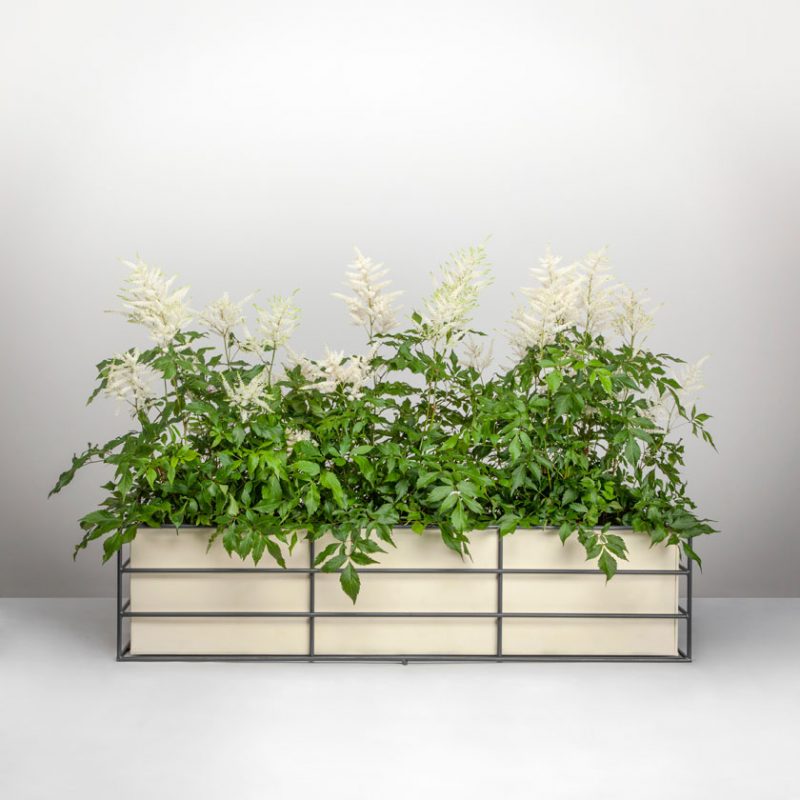 Contemporary Window Box - Garden Requisites