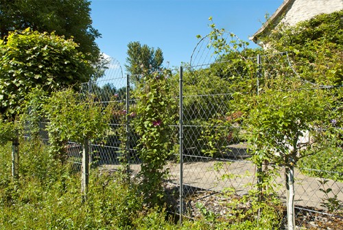 Divide and conquer with a metal garden trellis - Garden Requisites