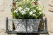 Window Boxes - Metal Window Box Displays