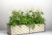 Window Boxes - Metal Window Box Displays