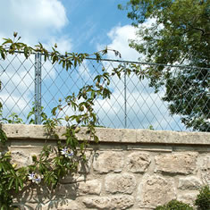 Garden Trellis Panels – Garden Requisites